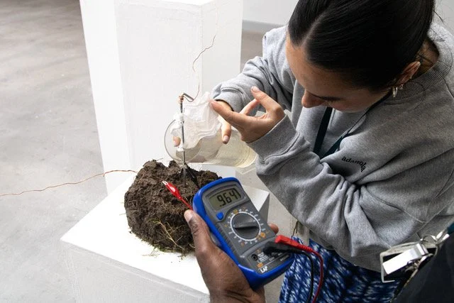 Common Ground: Reading Soil, Sensing Landscape 1 — The Auxiliary
