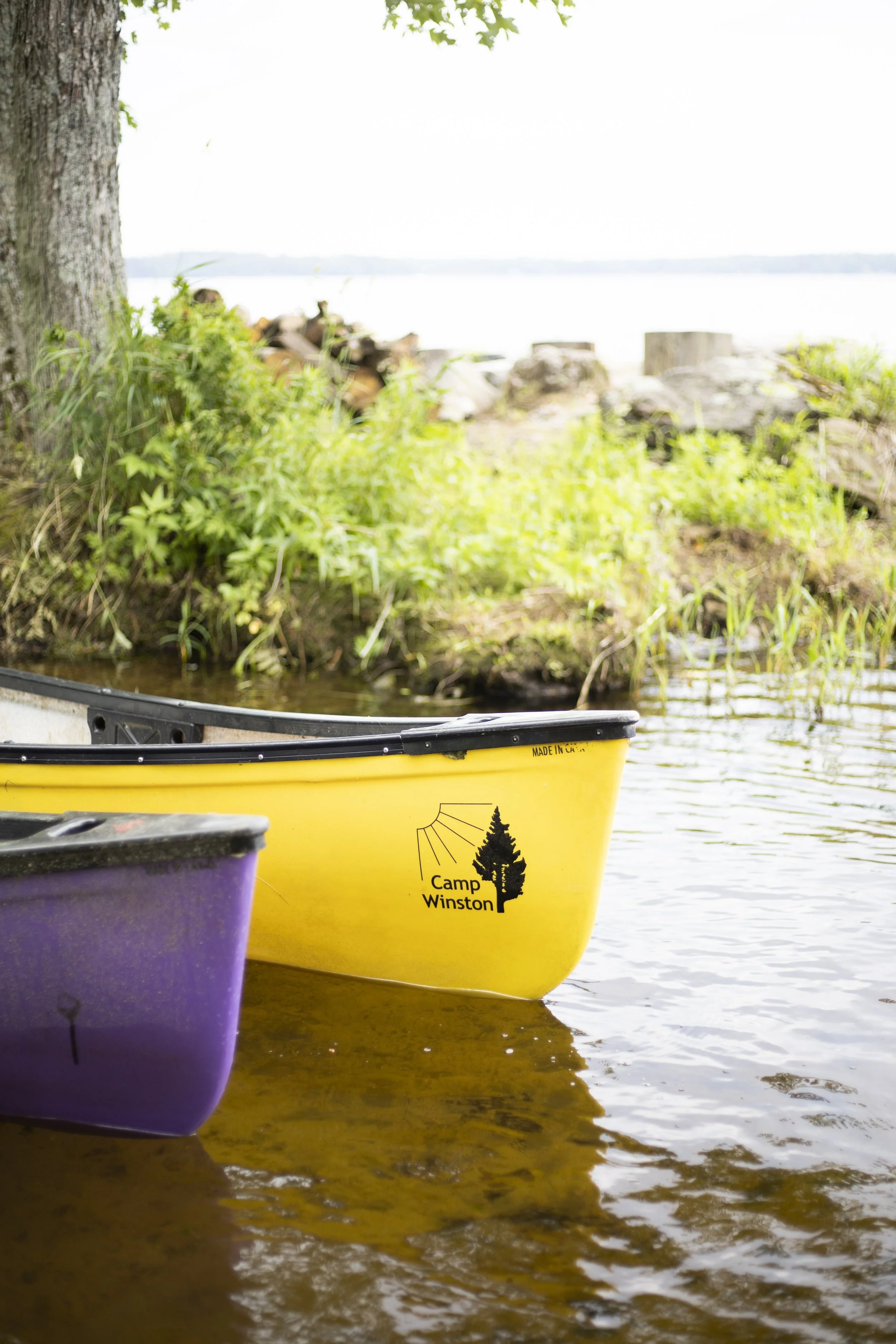 Camp Winston Foundation