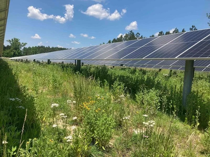 Exploring the Benefits of Agrivoltaic Systems | Chesapeake Valley Seed