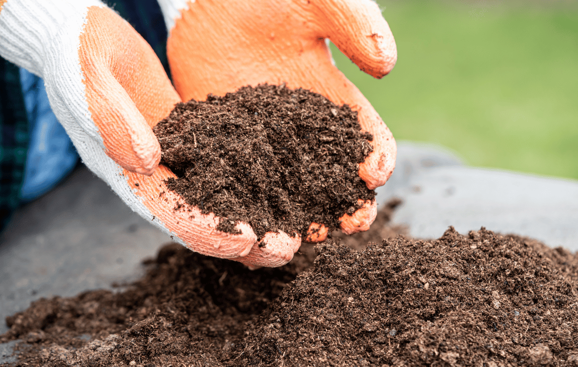 Why Organic Matter Is So Important in Vegetation Establishment ...