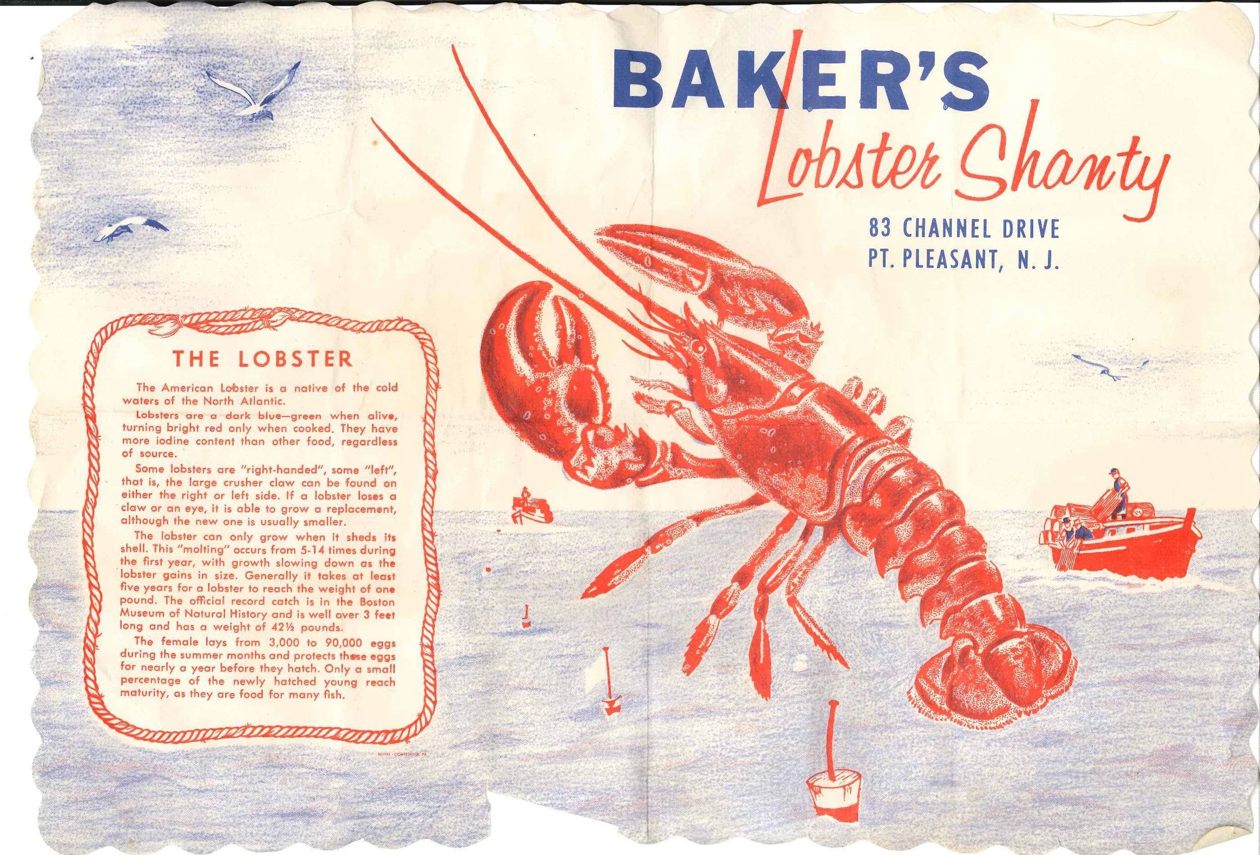 About — The Lobster Shanty