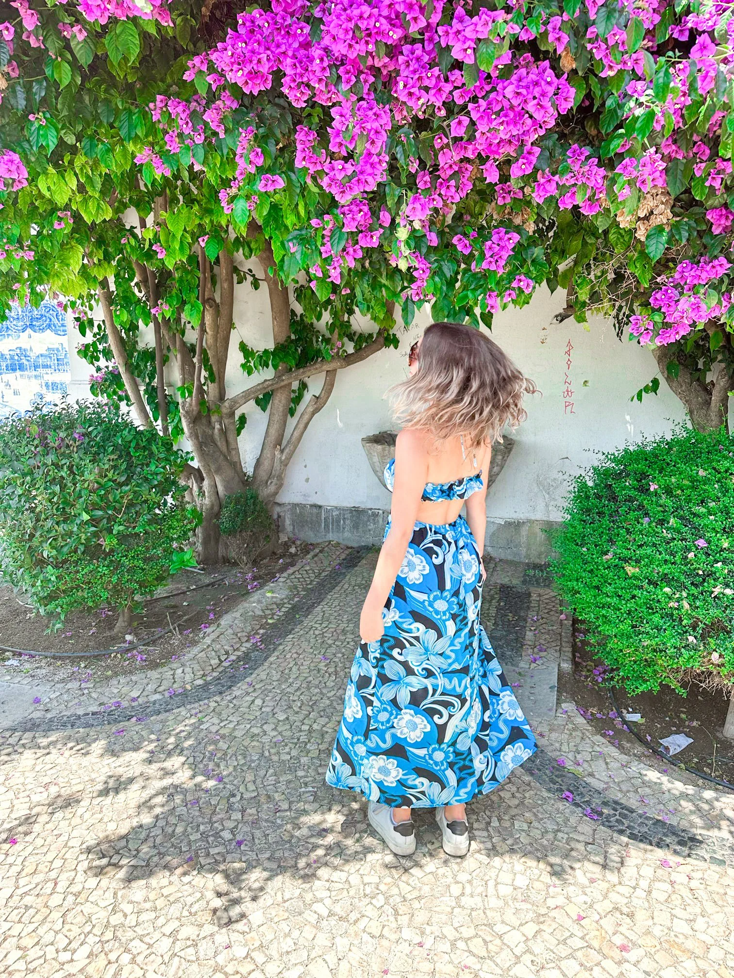 About 5 — ALABAMA ALPHA PHI