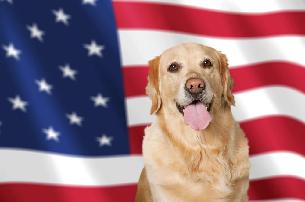 Liberty Dogs - Service Dogs for Veterans