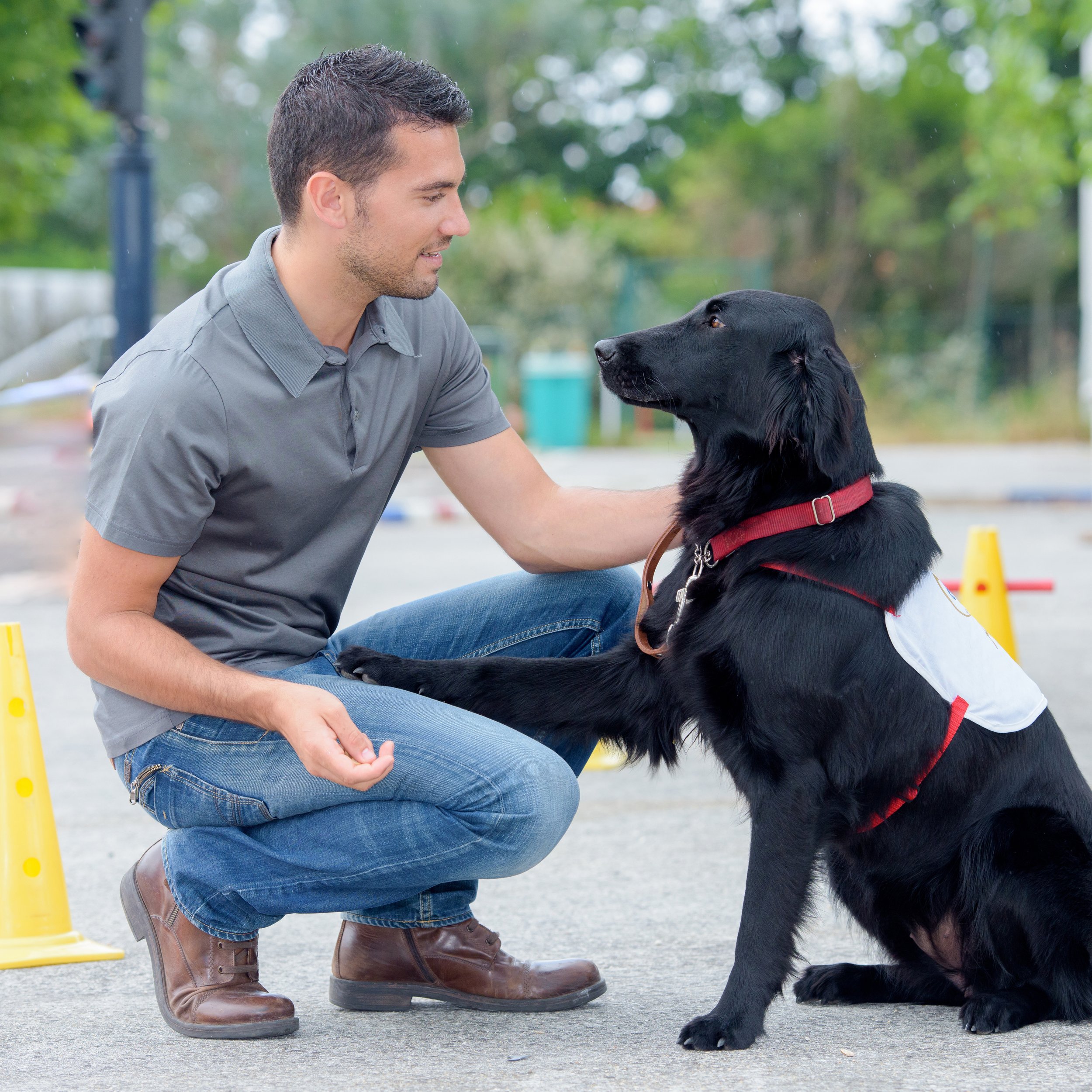 Liberty Dogs - Service Dogs for Veterans