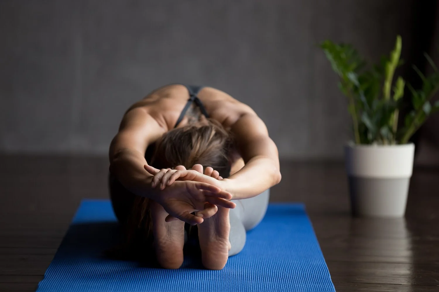 Yoga Class Schedule Harrisburg | Just Plain Yoga