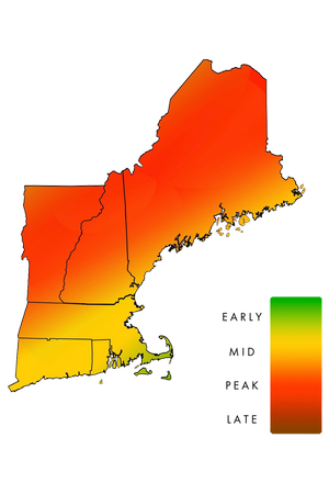 Perfect Fall Road Trip Itinerary Through New England: 6 States of Peak ...