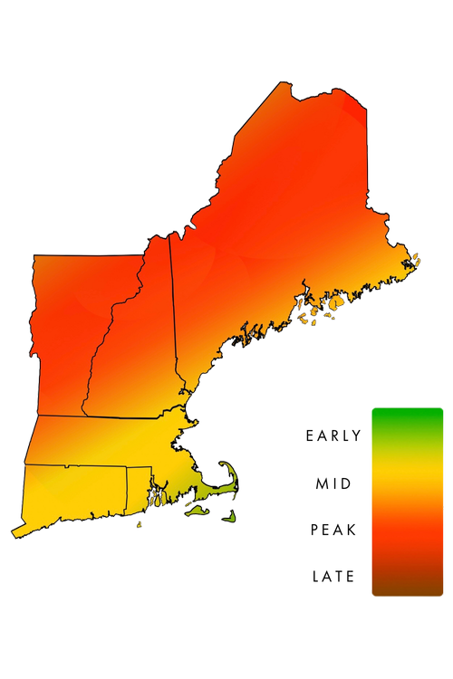 Perfect Fall Road Trip Itinerary Through New England: 6 States of Peak ...