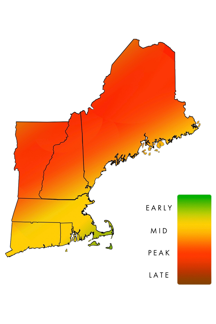 Perfect Fall Road Trip Itinerary Through New England: 6 States of Peak ...
