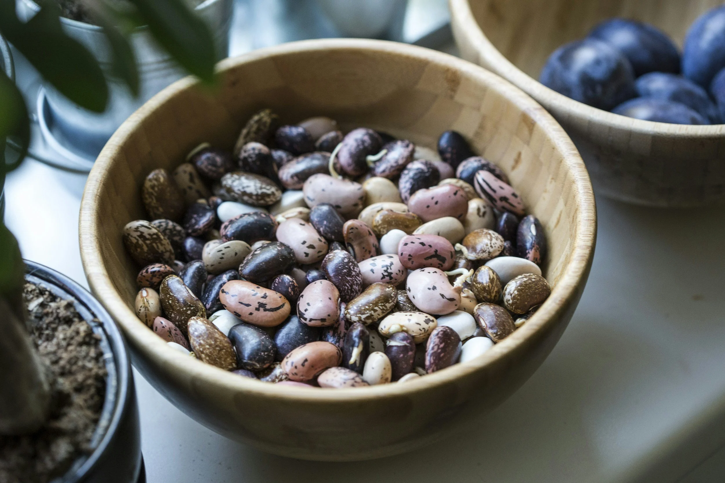 The Sacred Foods of the Hopi — Recipes & Roots