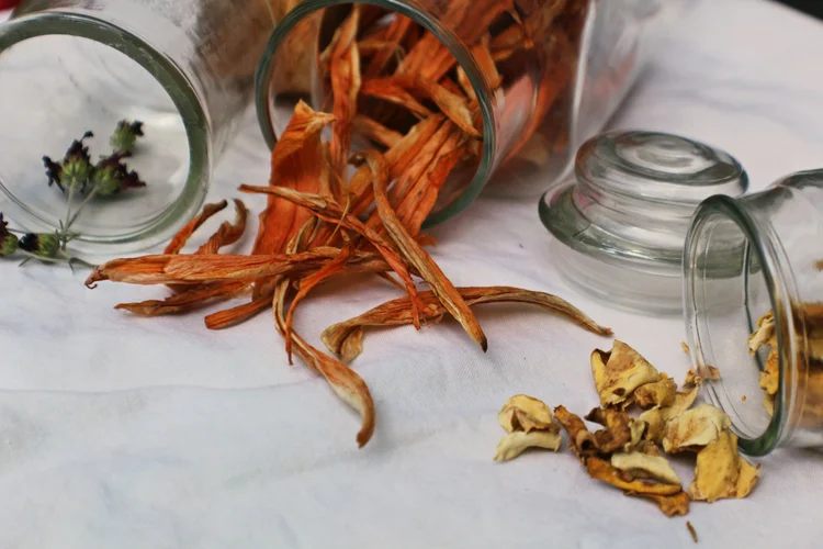 Indigenous Food Preservation Techniques — Drying, Smoking, and ...