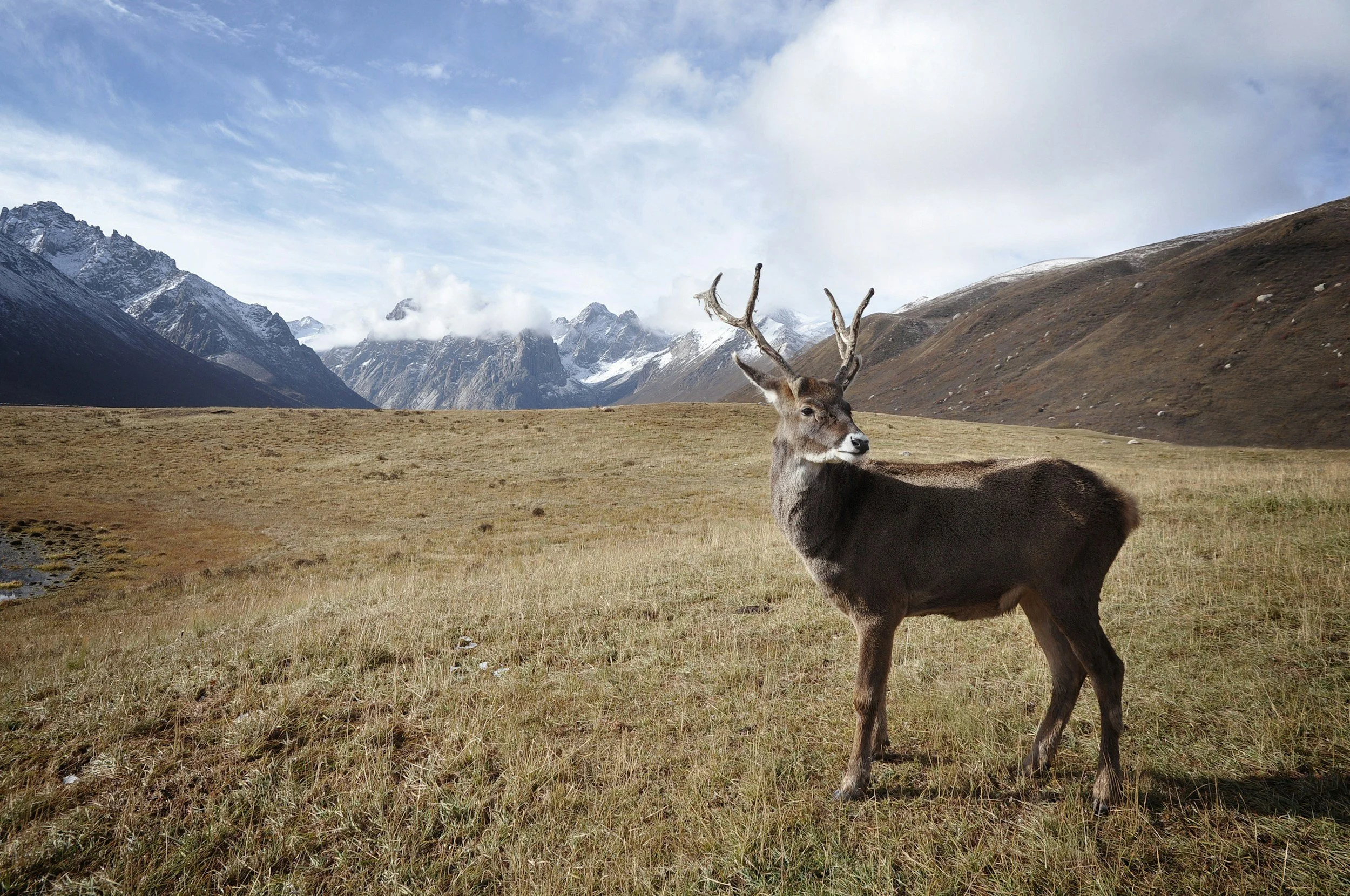 Historical Context and Evolution of Sámi Food Practices — Recipes & Roots