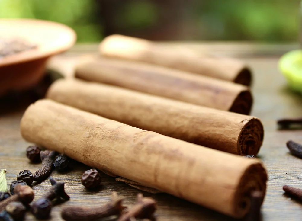 The Origins of Cinnamon: Trade, Power, and the Myths Behind the Spice ...