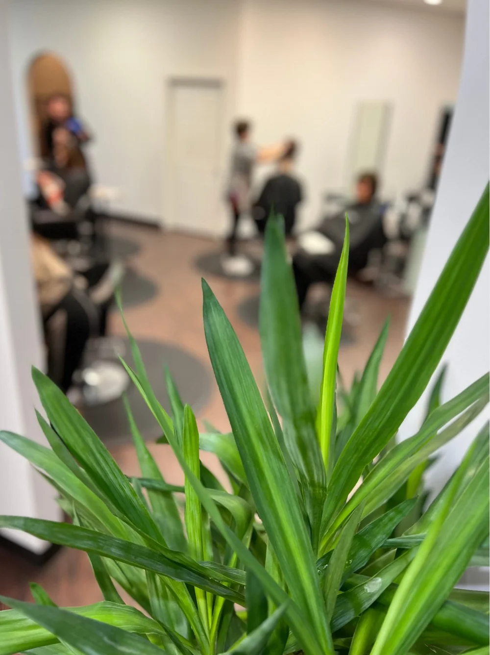 The Hair Artistry Collective
