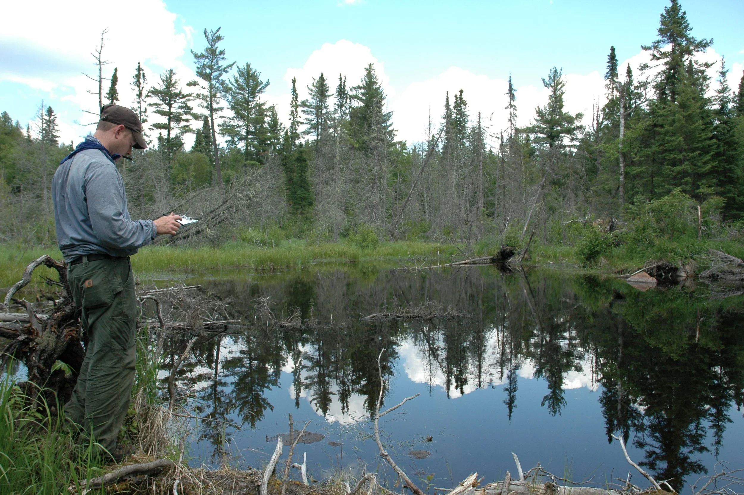 Wetland Delineations: Types, Steps and Regional Differences ...