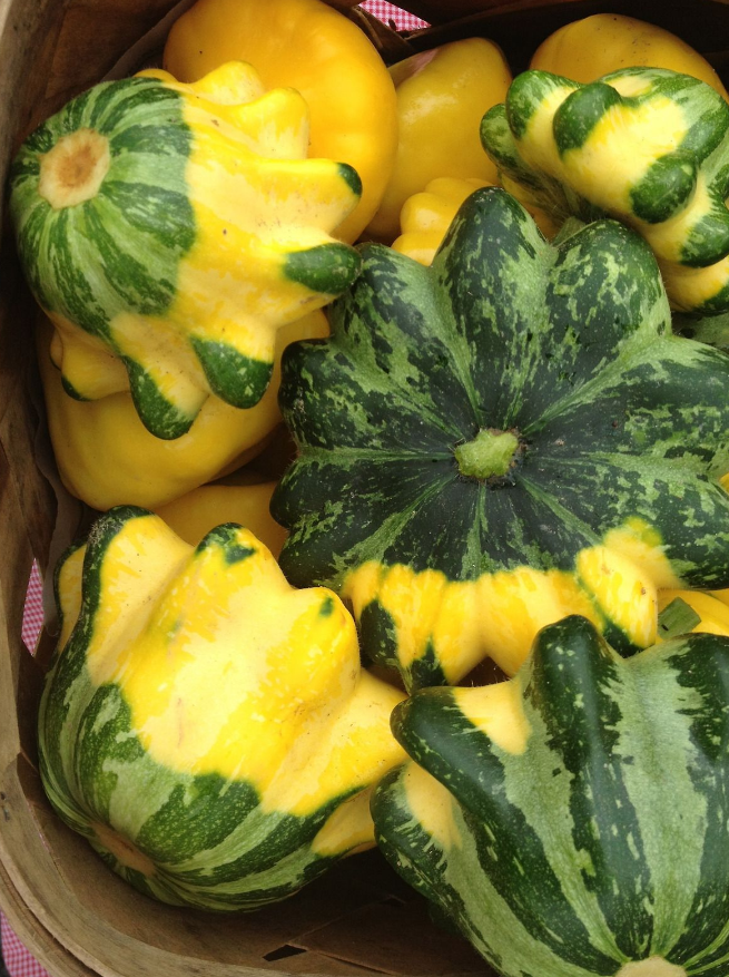 Blog — Pleasant Ridge Farms