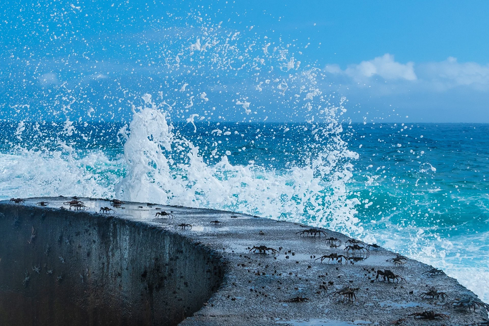 Visit Pitcairn - Open To Explore