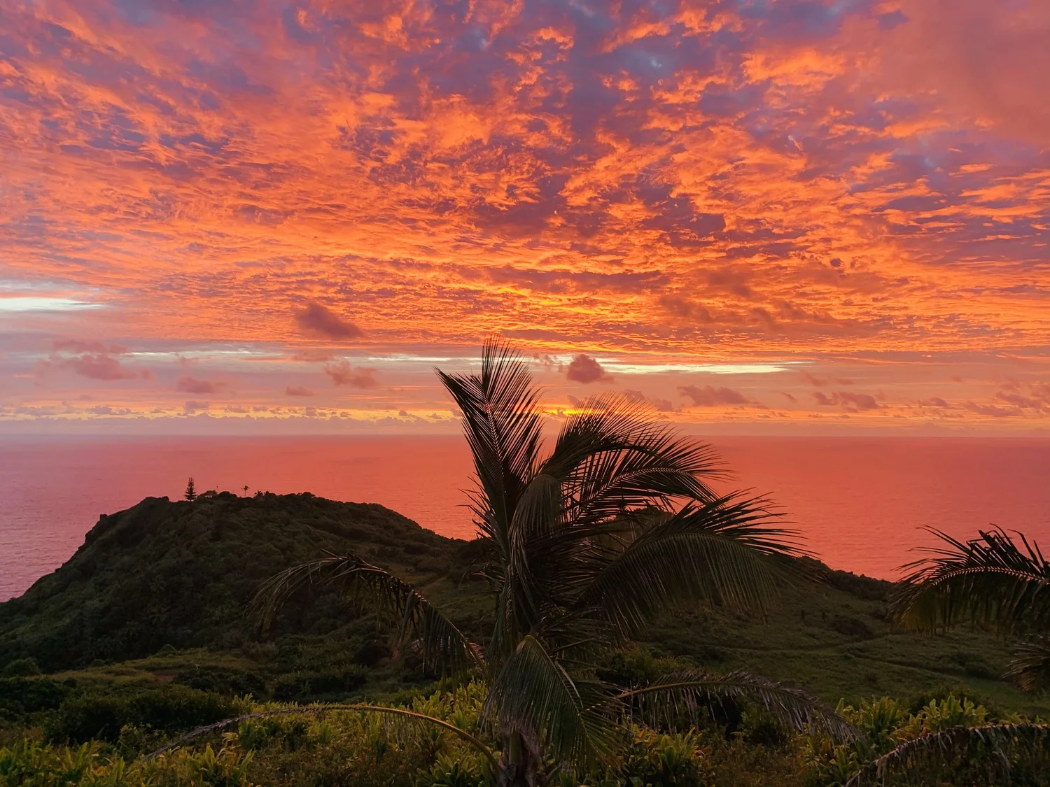Sail to Pitcairn — Visit Pitcairn - Open To Explore