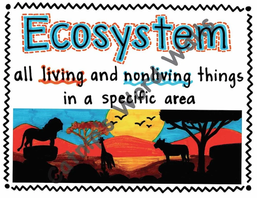 NEW Biology TEKS Classroom Set — Catnip's Word Walls