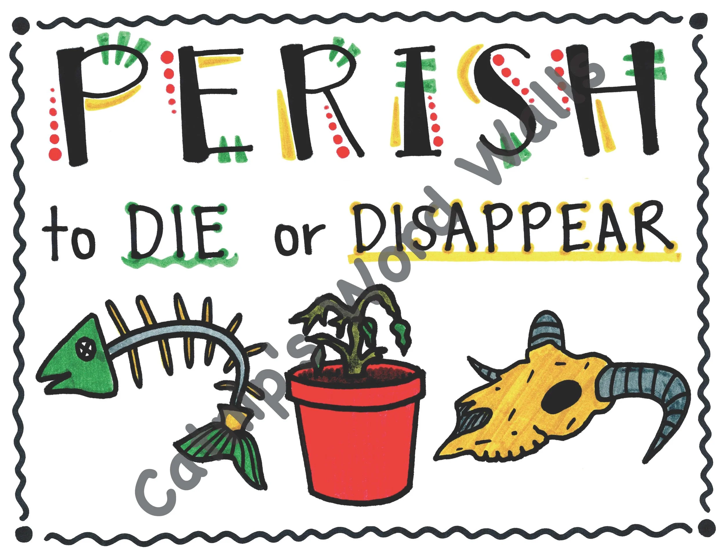 Shop — Catnip's Word Walls