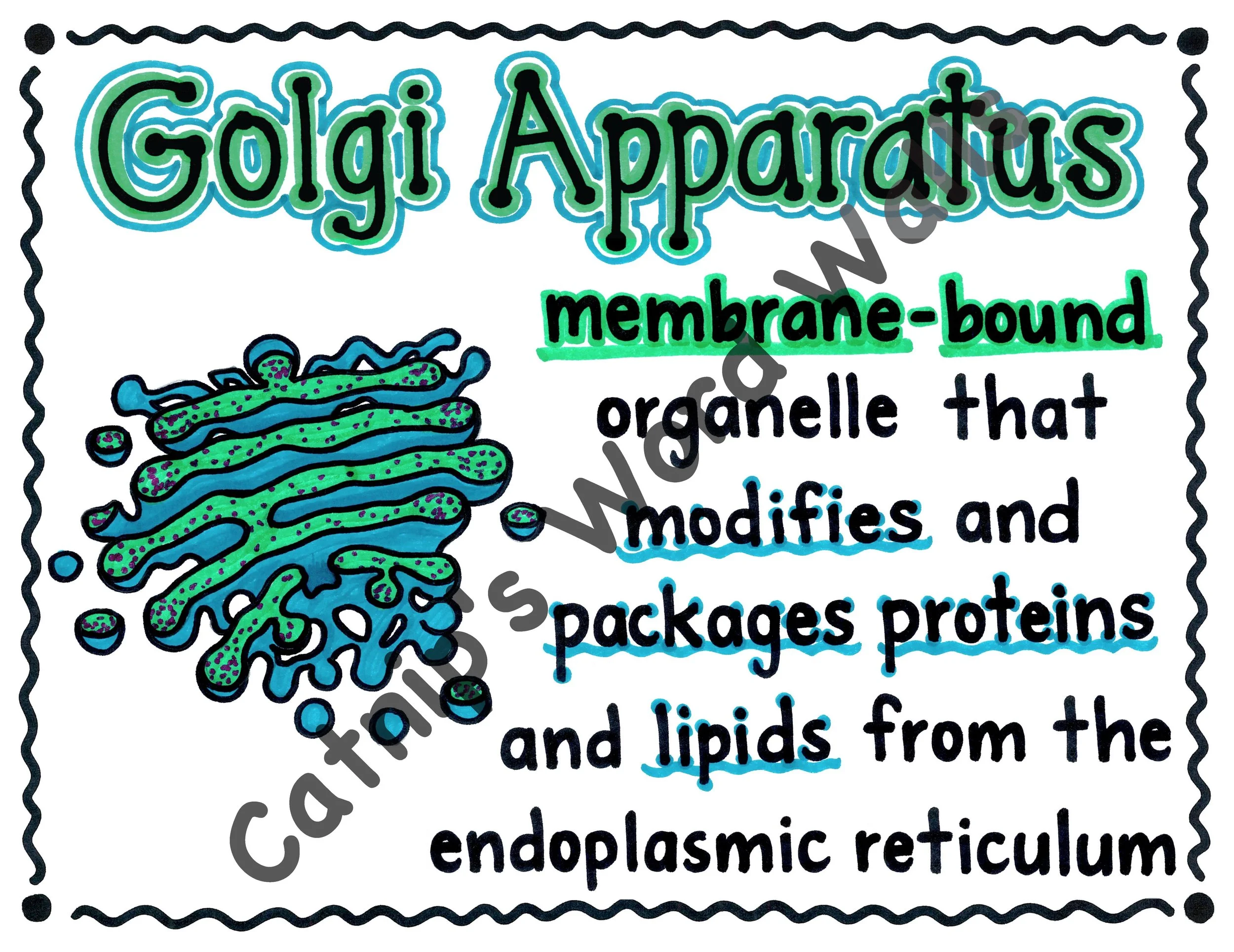 6th Grade Science Teks 2024