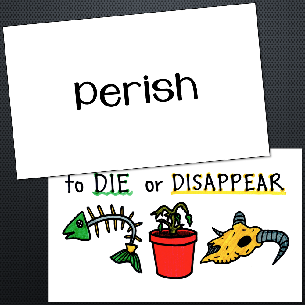 5th Grade Science TEKS Flash Cards — Catnip's Word Walls