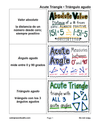 8th Grade Math TEKS Bilingual Dictionary — Catnip's Word Walls