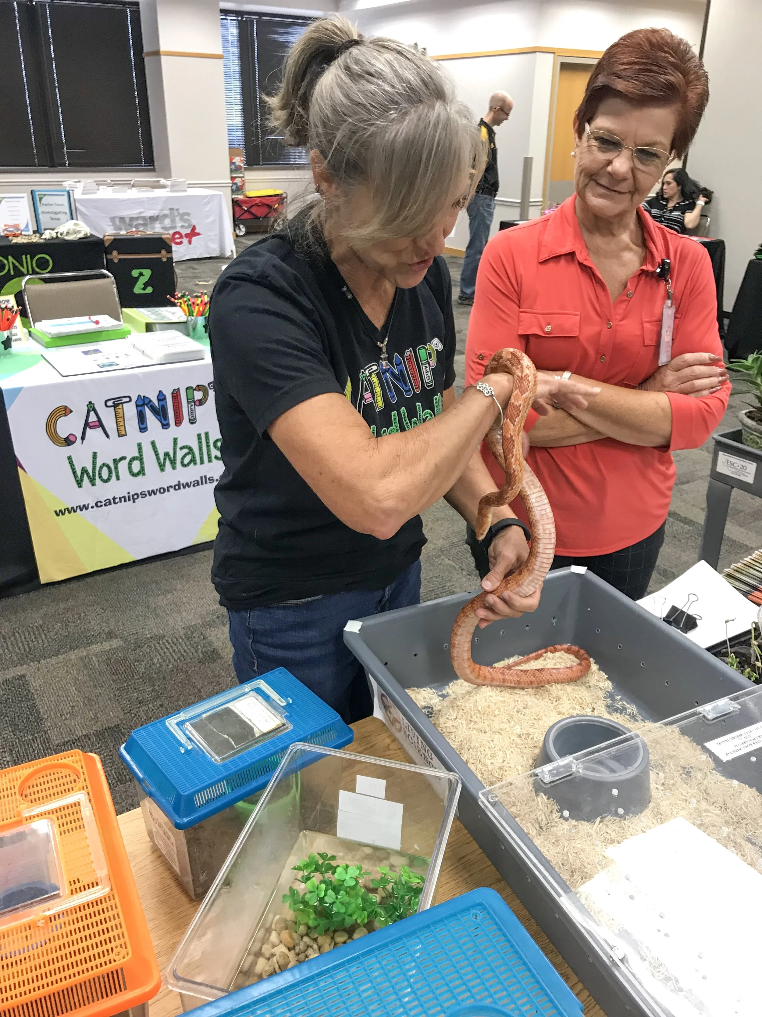 About — Catnip's Word Walls