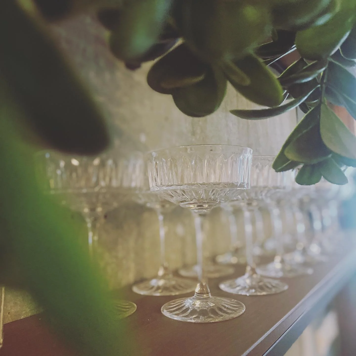 Gallery — The Rutledge Bar & Eats