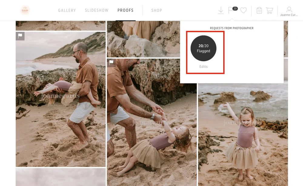 How to use your online photo gallery — Joanne Curtis Photography