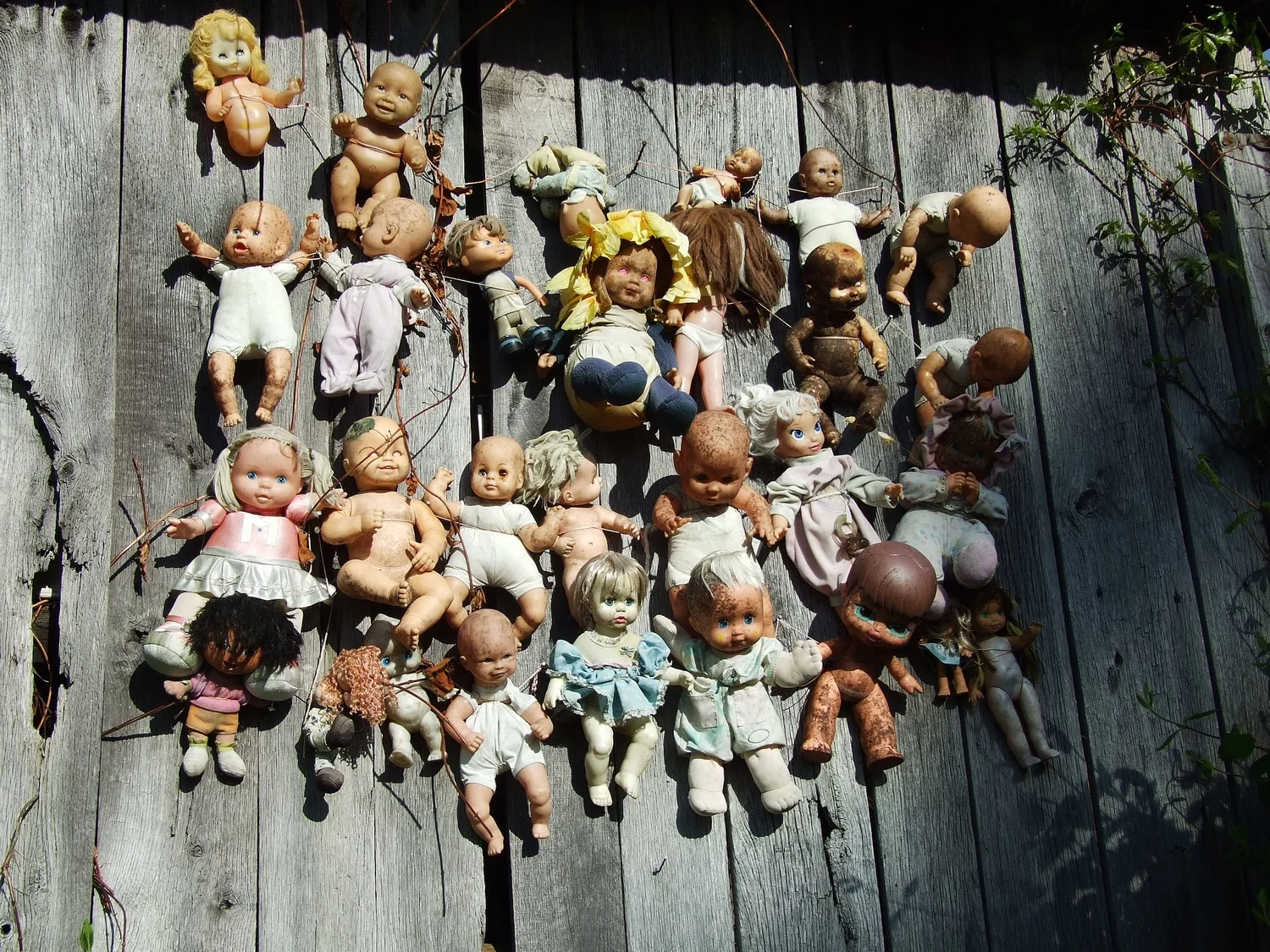 The Science — The Home for Wayward Babydolls