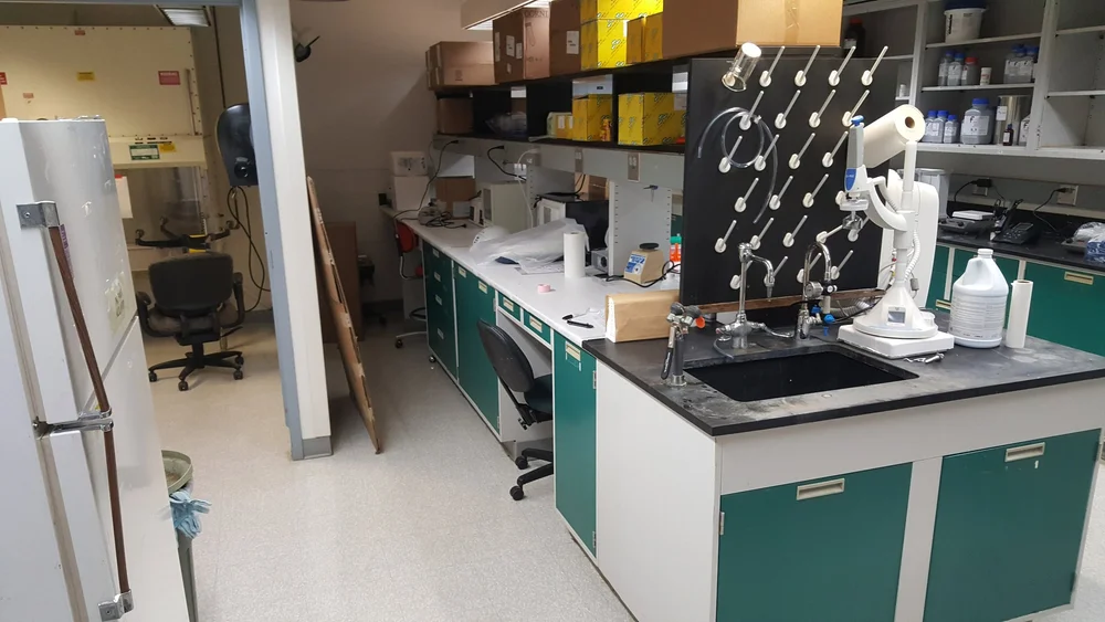 Watch the Lab Take Shape — MacLean Lab