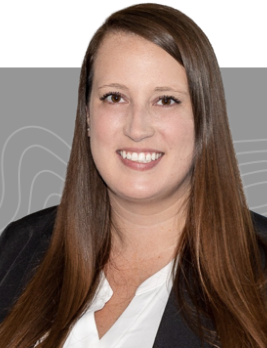 Groundswell Integrated Budget Suite — Groundswell