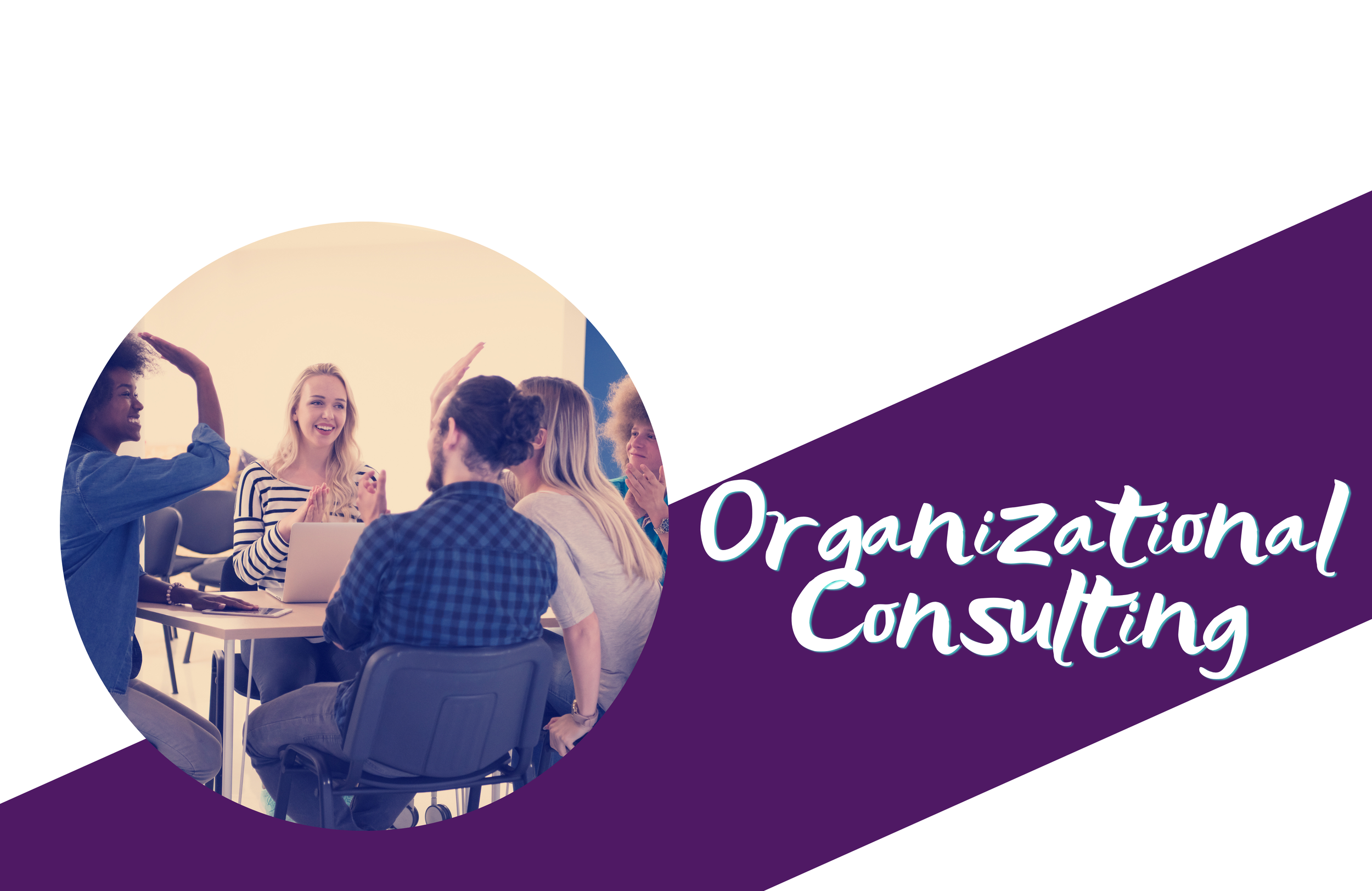 Organizational Consulting — Dr. Cari Jackson