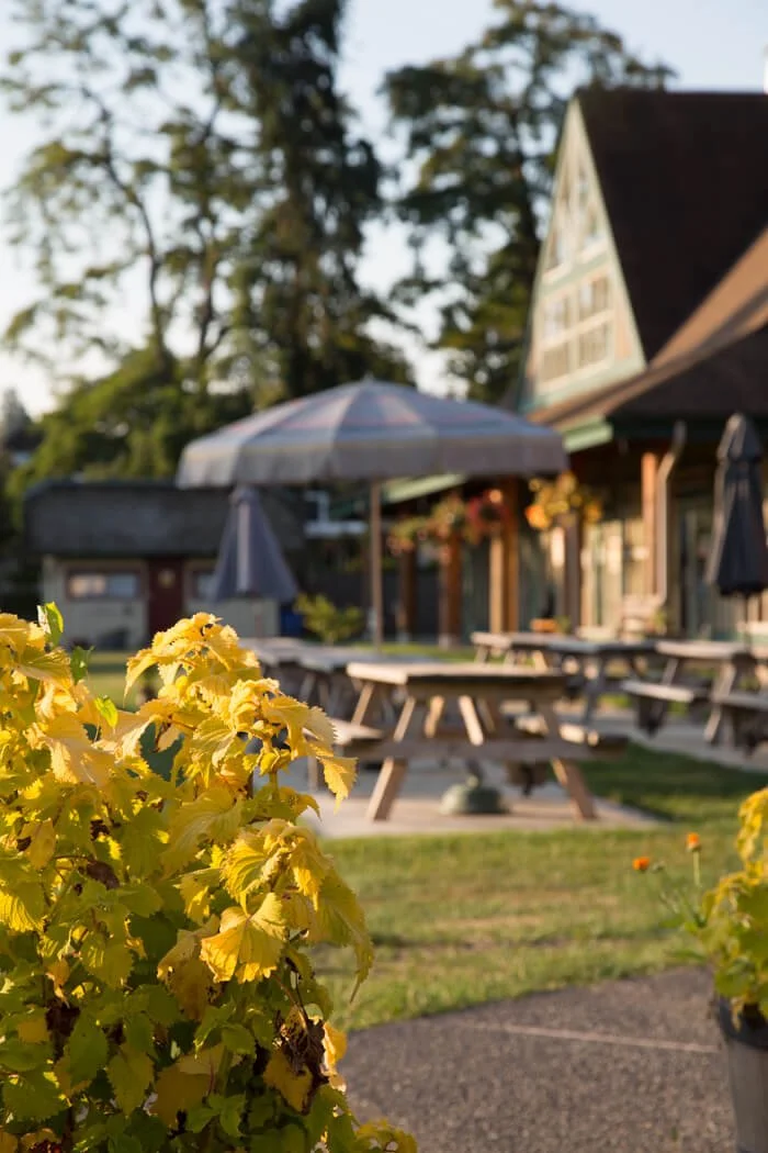 Camp Alex Venue Rental — Alex House