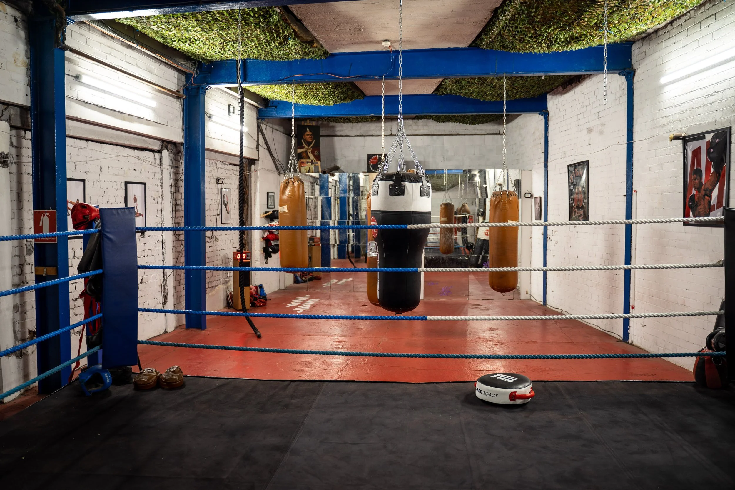 Laces Boxing Club - Sheffield