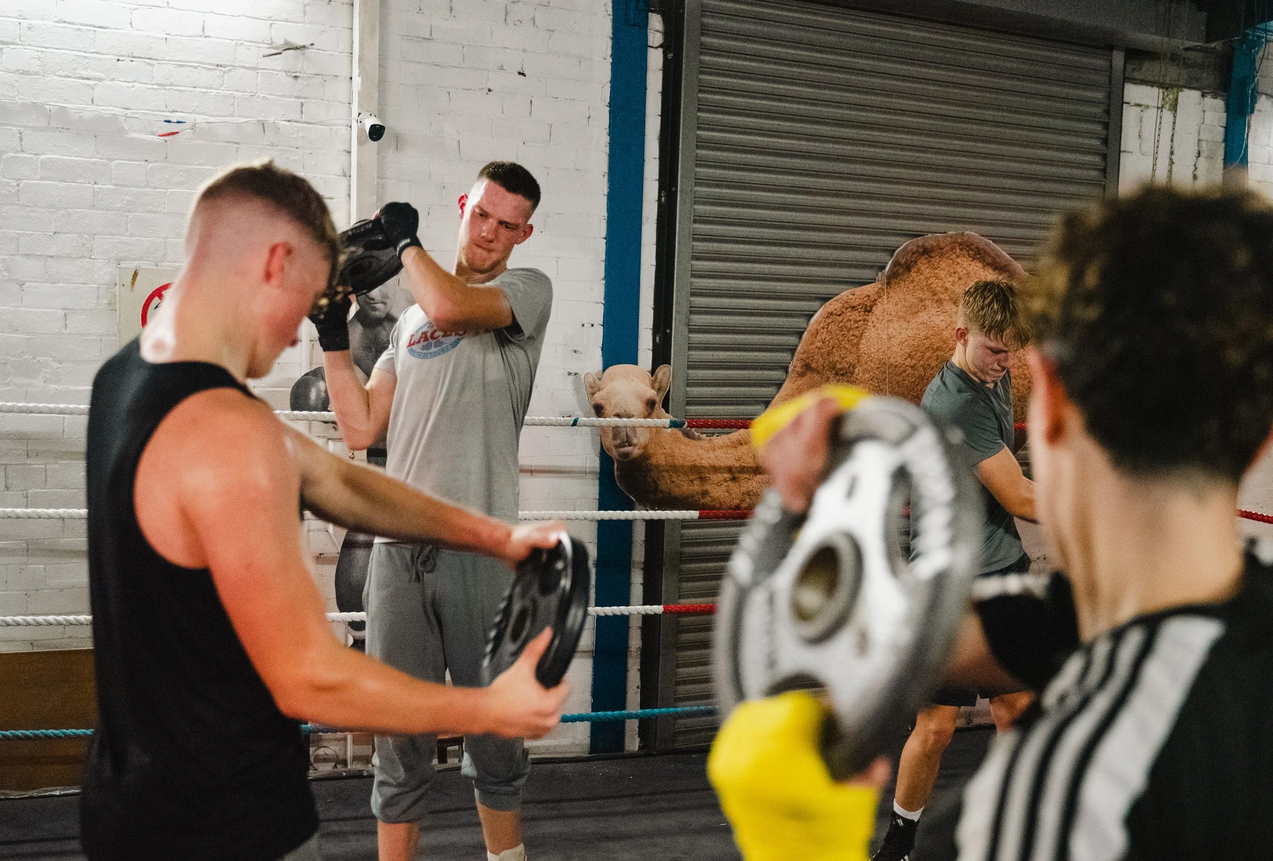 Laces Boxing Club - Sheffield