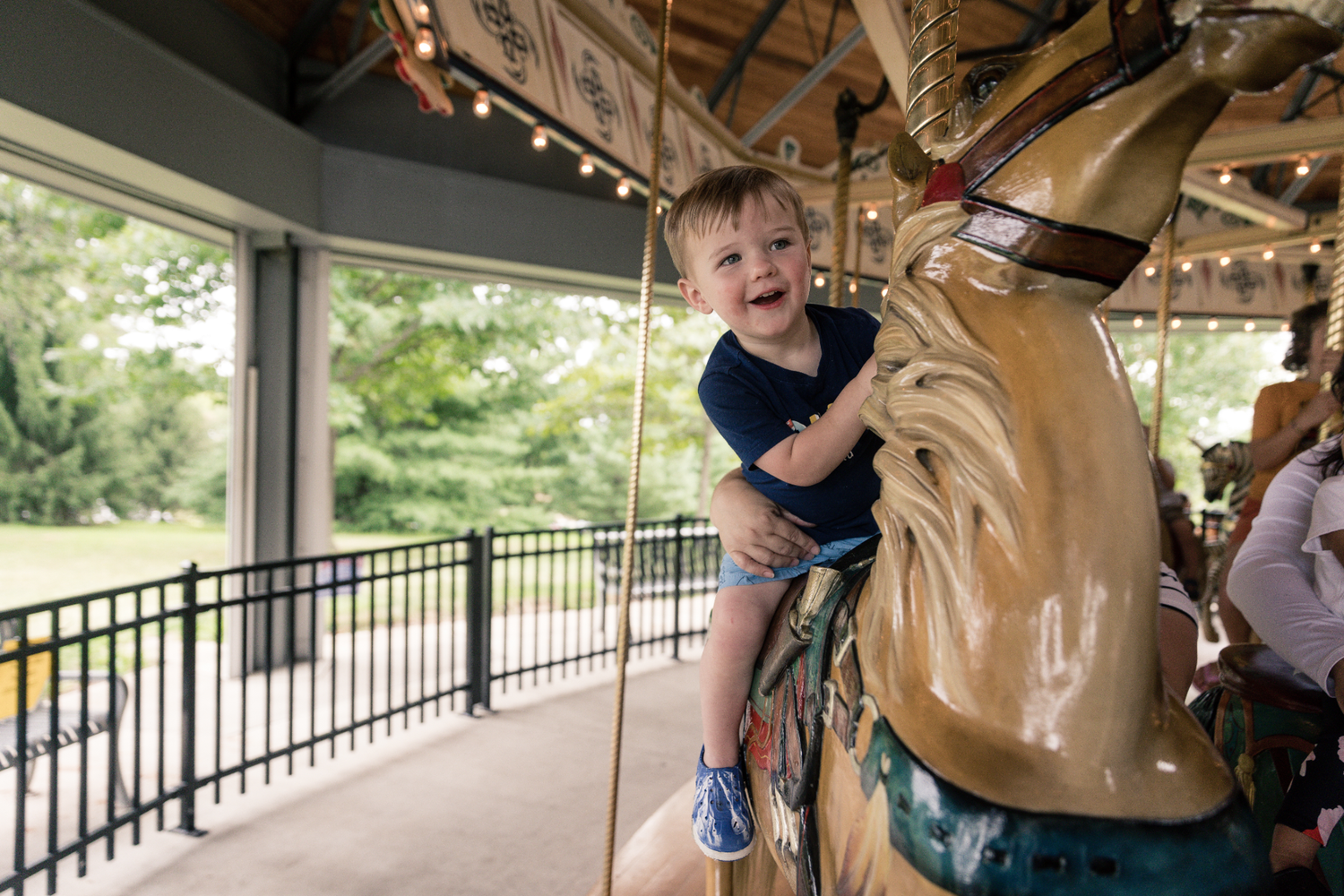 The Heritage Carousel