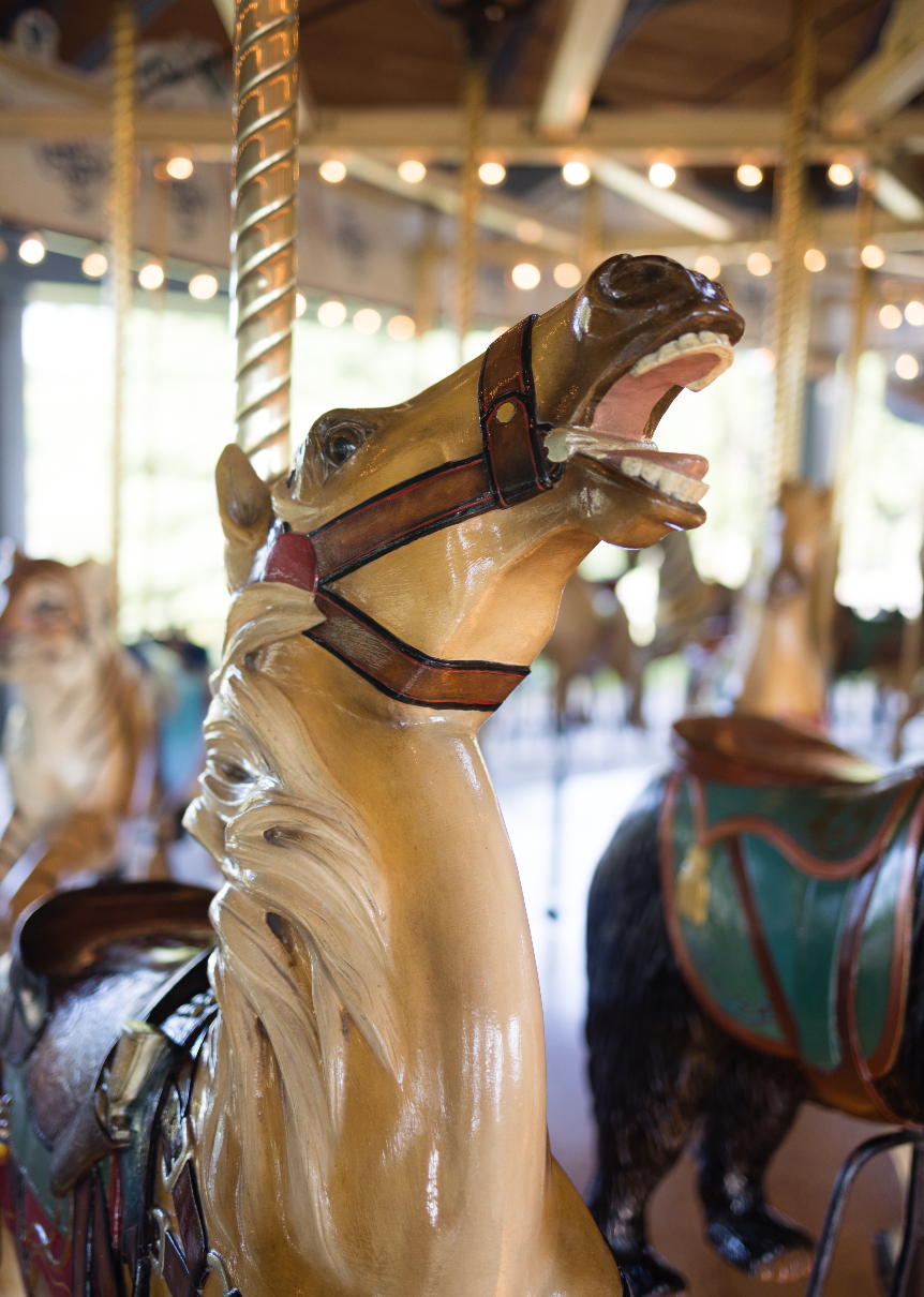 Adopt a Carousel Animal — The Heritage Carousel