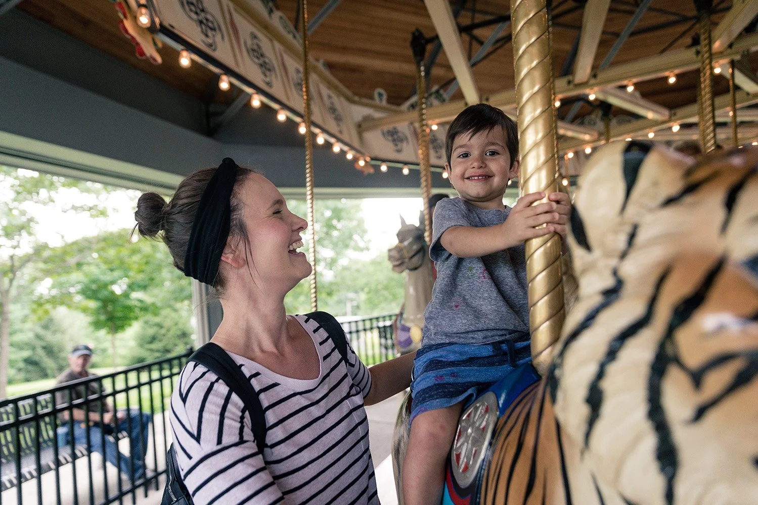 National Carousel Gallery Page — The Heritage Carousel