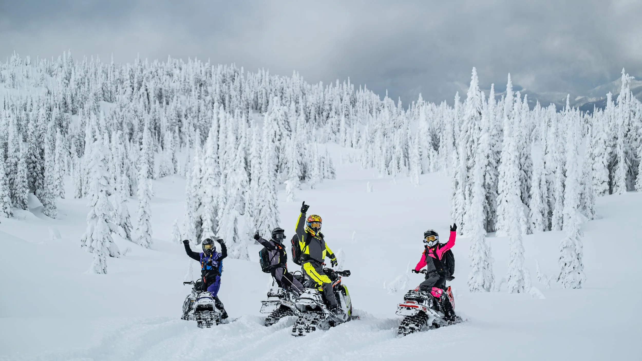 British Columbia Snowmobile Federation