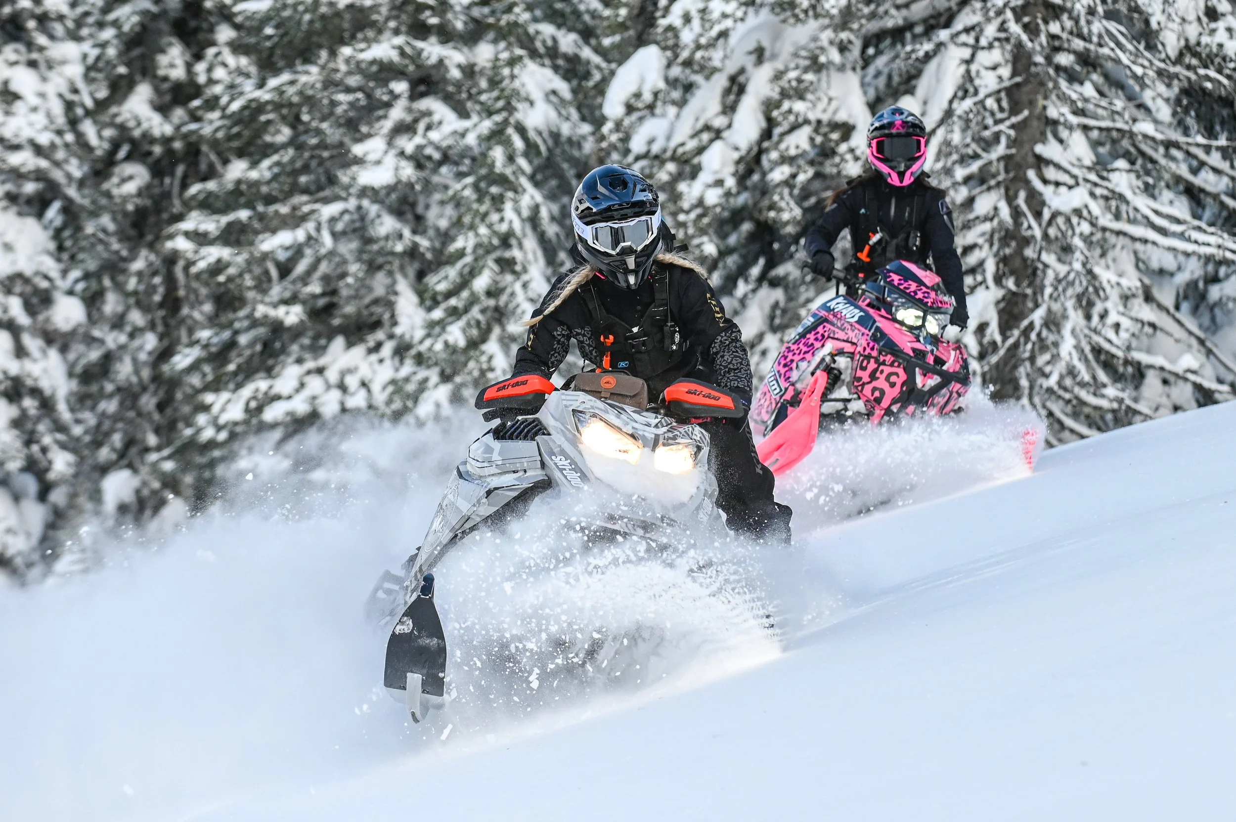 Why Buying a BC Snowmobile Club Membership Still Matters—and Why It’s ...
