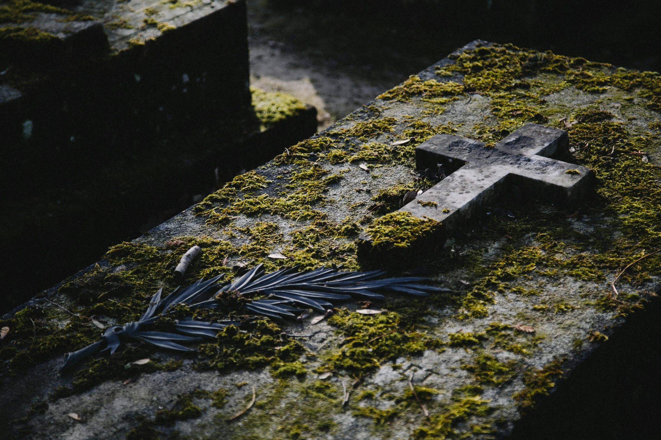 Grieving an Ex-Spouse: Understanding the Unspoken Loss — divorceworkshop.ca