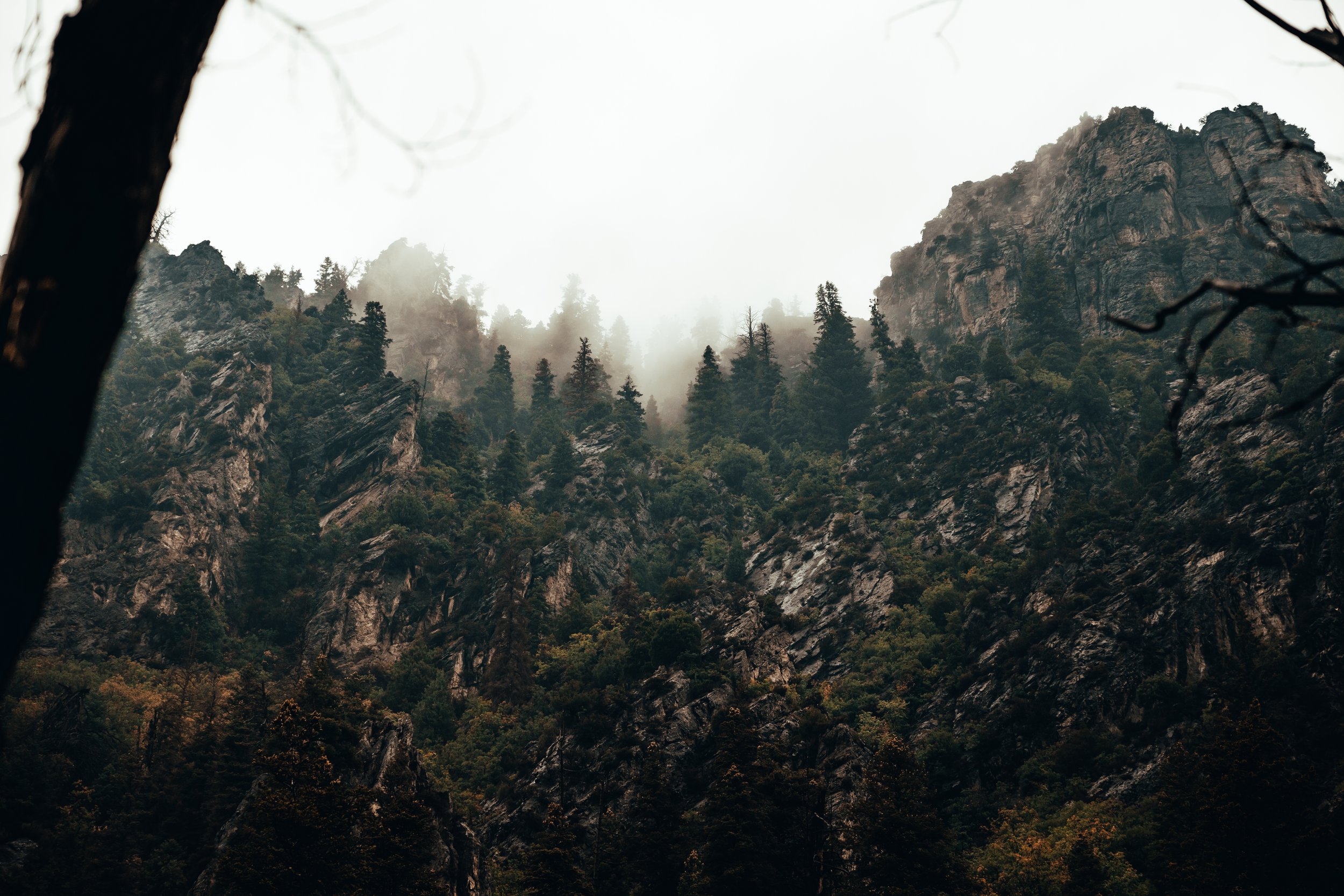 Cody Barnard Photography