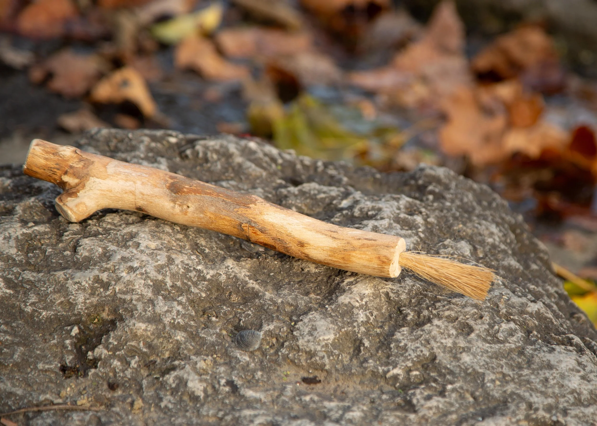 Explore Janne Lee's Artisan Gifts: Nature-Inspired Creations for ...