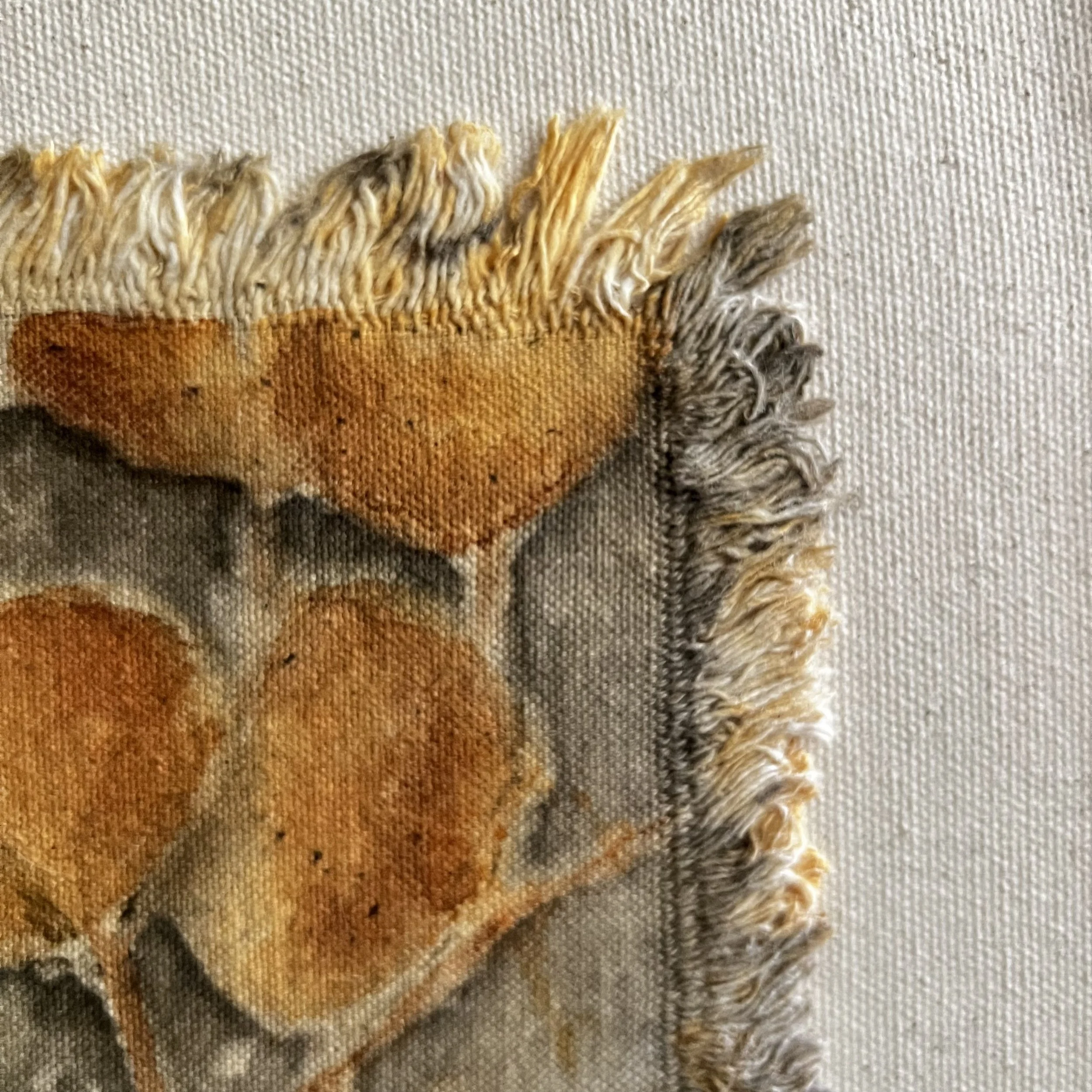 Wild 12: A Bustling Symphony of Life (Bluebird, Monarch Butterfly and ...