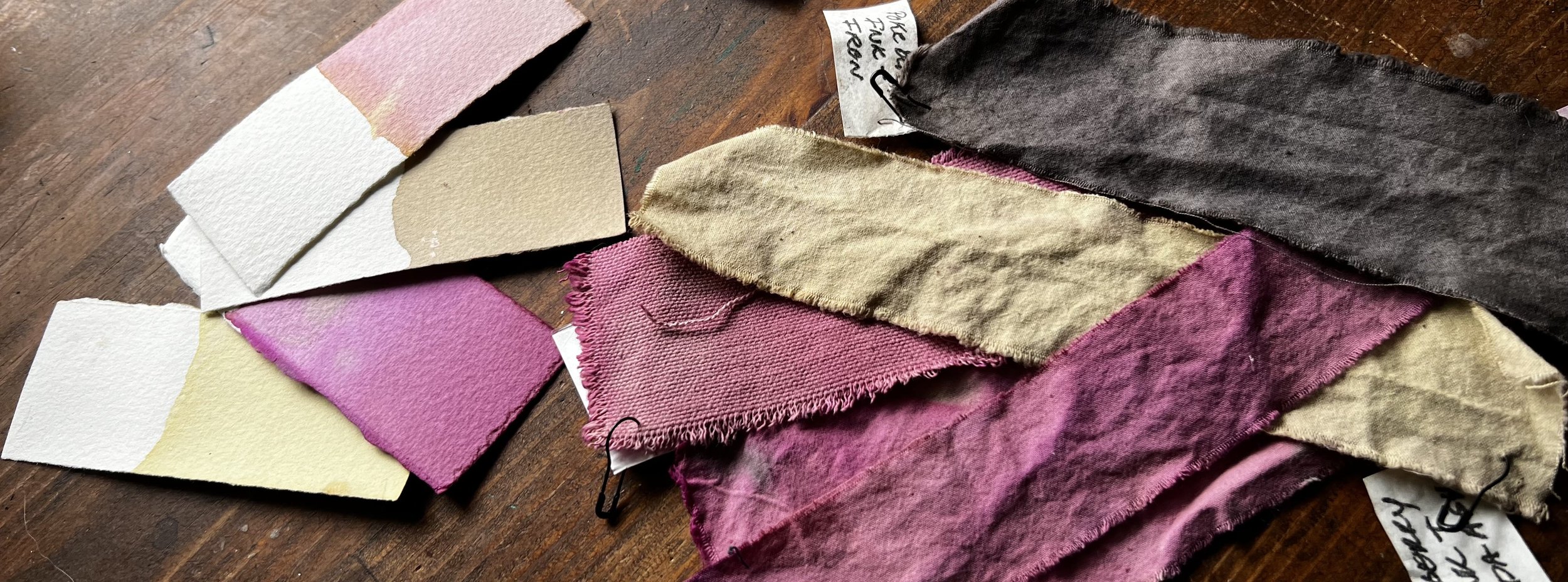 How-to-Make-Pokeberry-Ink–DIY-Natural-Ink-Guide-for-Artists-&-Calligraphy — Janne Lee