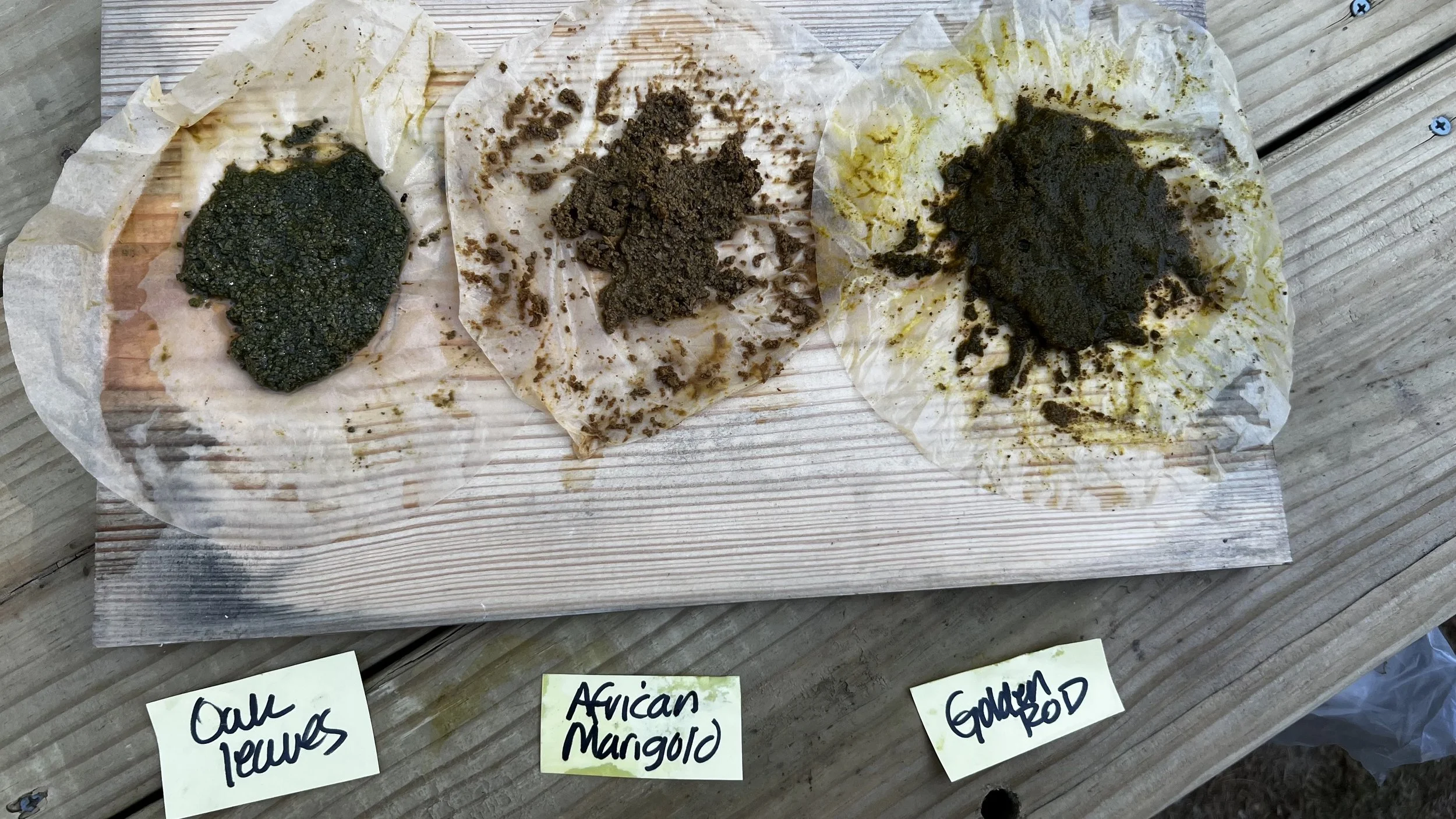How to Make Lake Pigments from Plants | Natural Dye to Earth Pigment ...