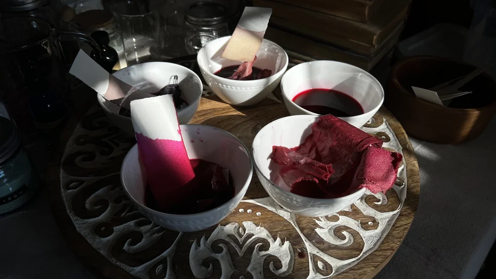 How-to-Make-Pokeberry-Ink–DIY-Natural-Ink-Guide-for-Artists ...