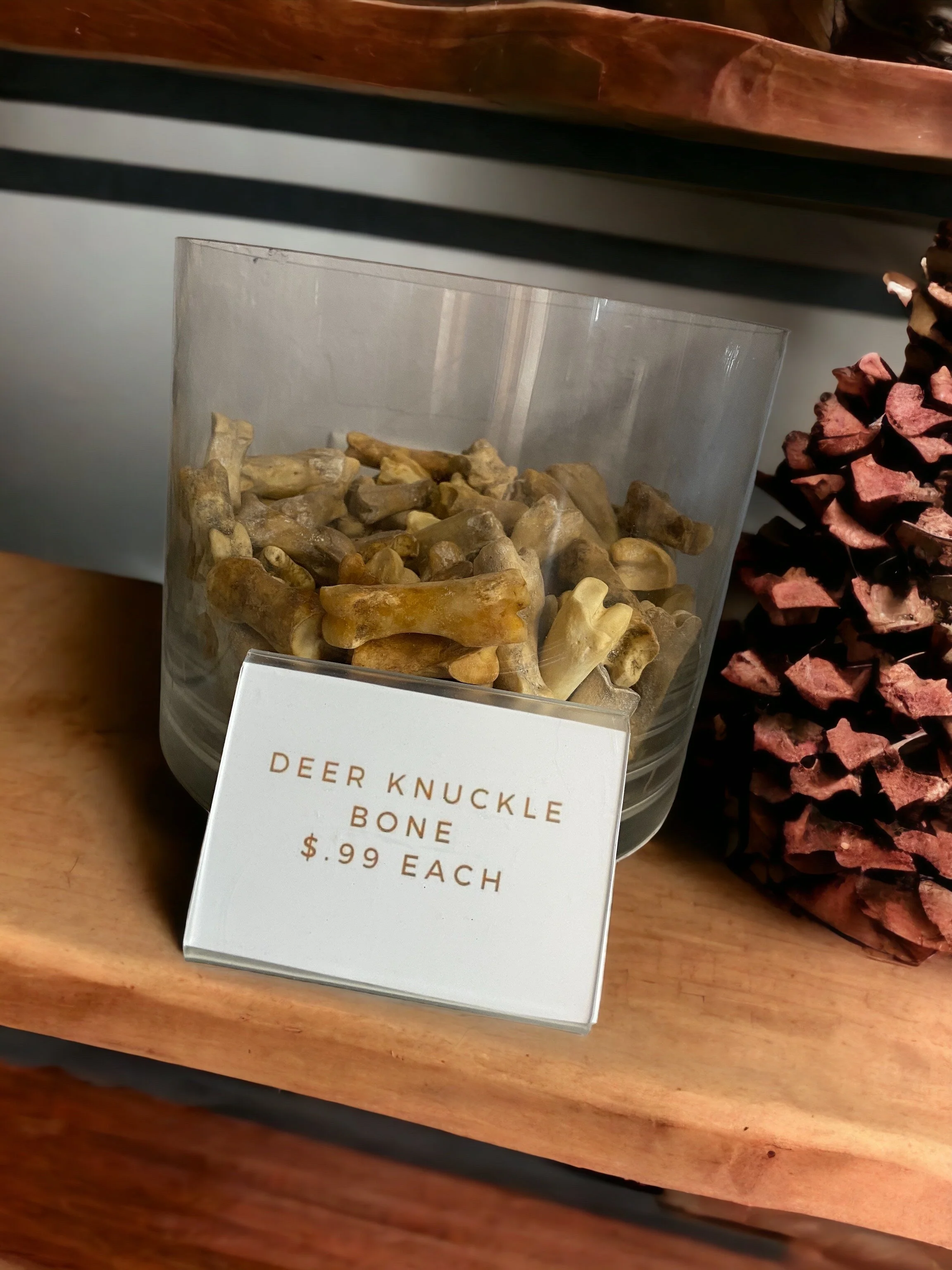 Deer Bones (per bone) — Woodland Wanderland
