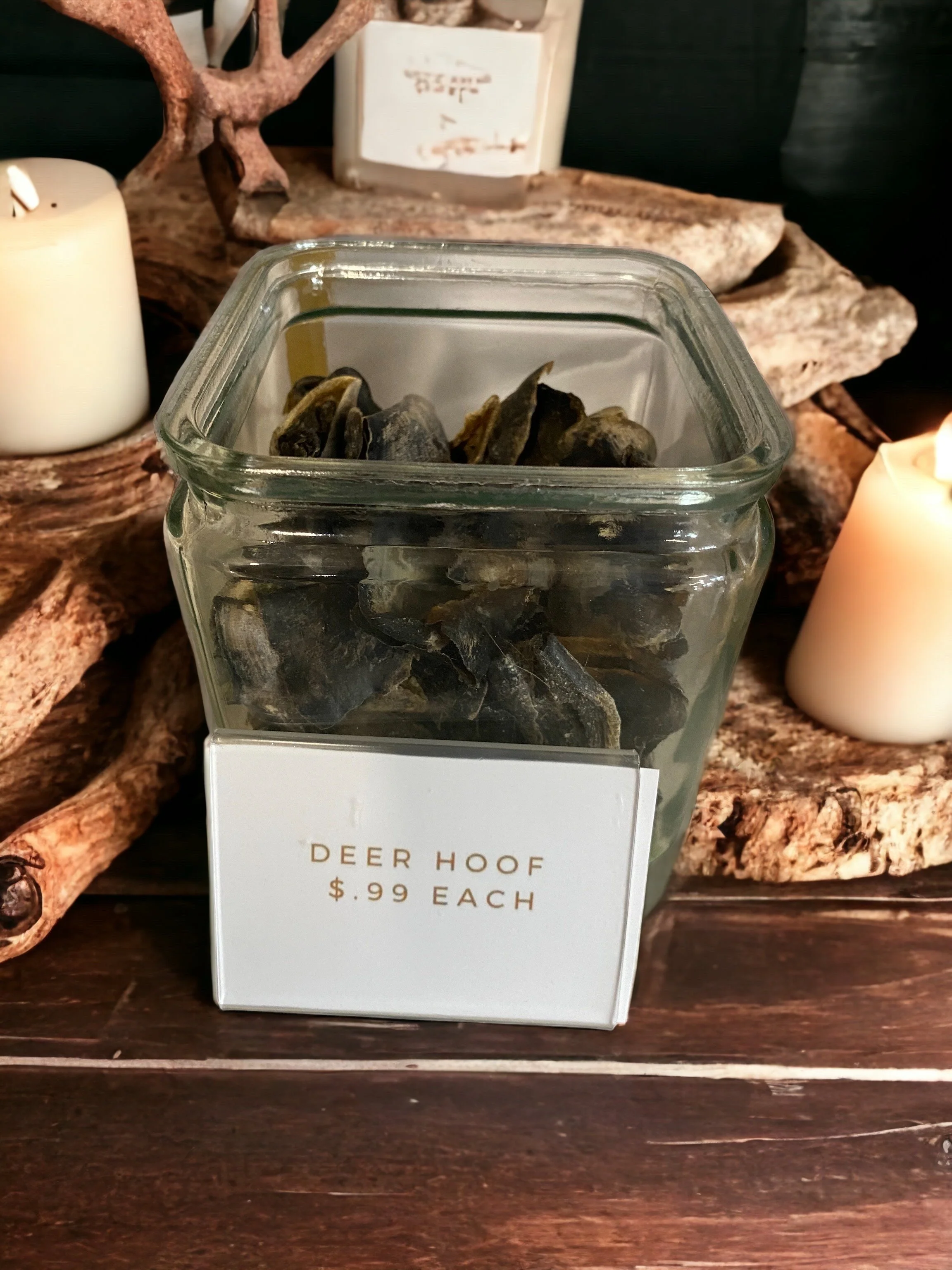 Deer Knuckle Bones (per bone) — Woodland Wanderland